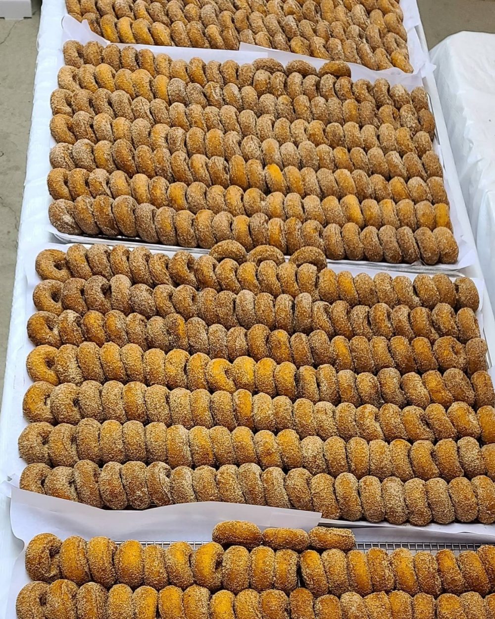 Mini Donuts - Big Dollars - Street Food Vendor And Home Baking Tips